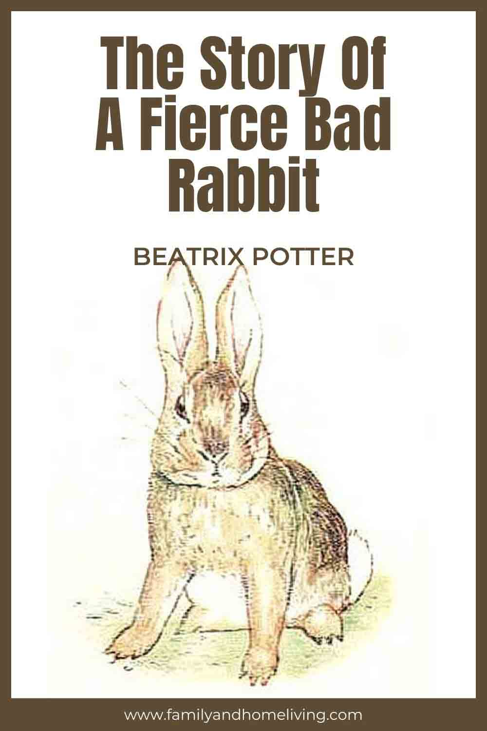 The Story Of A Fierce Bad Rabbit - A Beatrix Potter Book